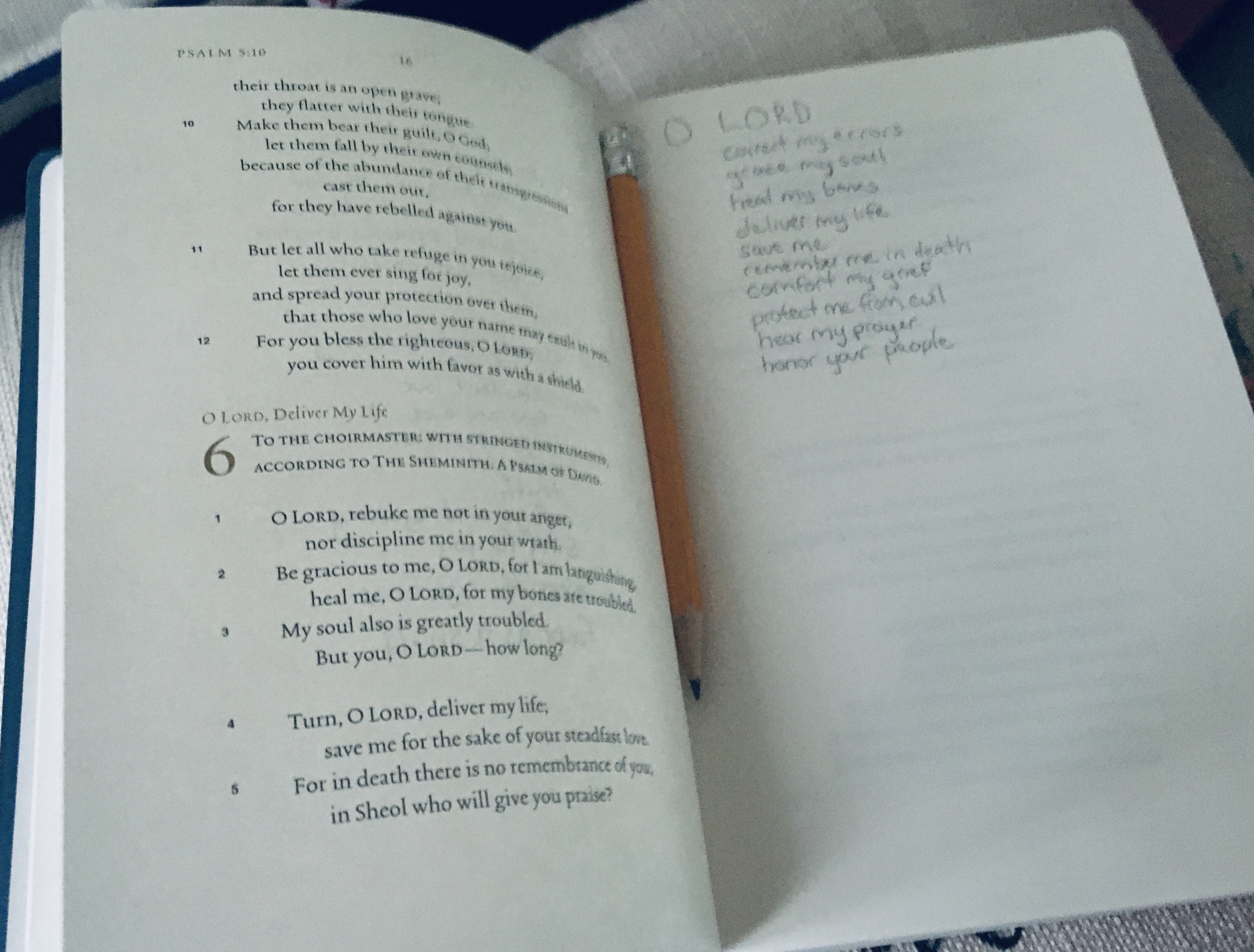 Reading Psalm 5-6 – Growing Godly Generations